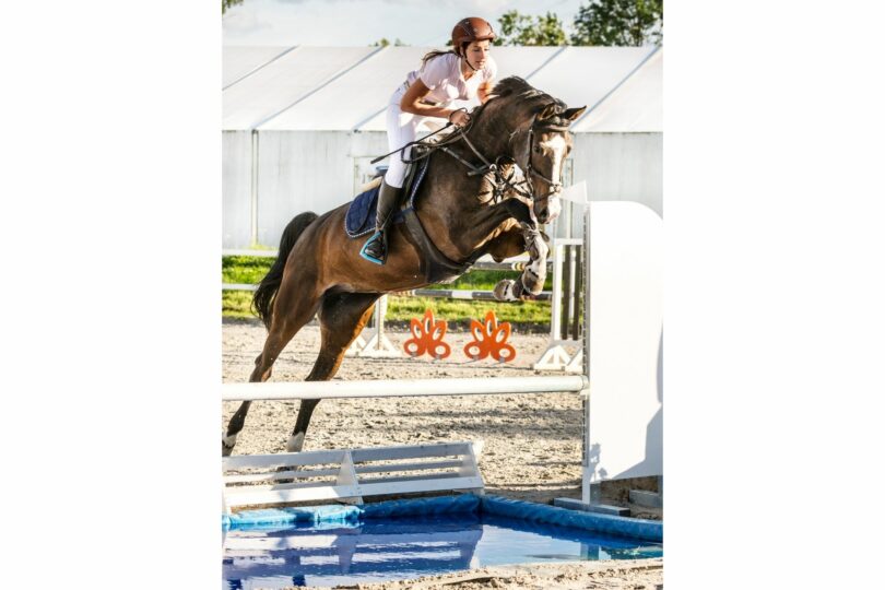 Go Wide: How Far Can Horses Jump Horizontally?