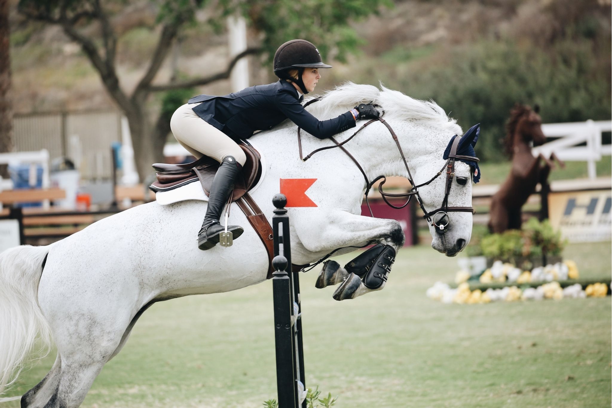 Go Wide: How Far Can Horses Jump Horizontally?