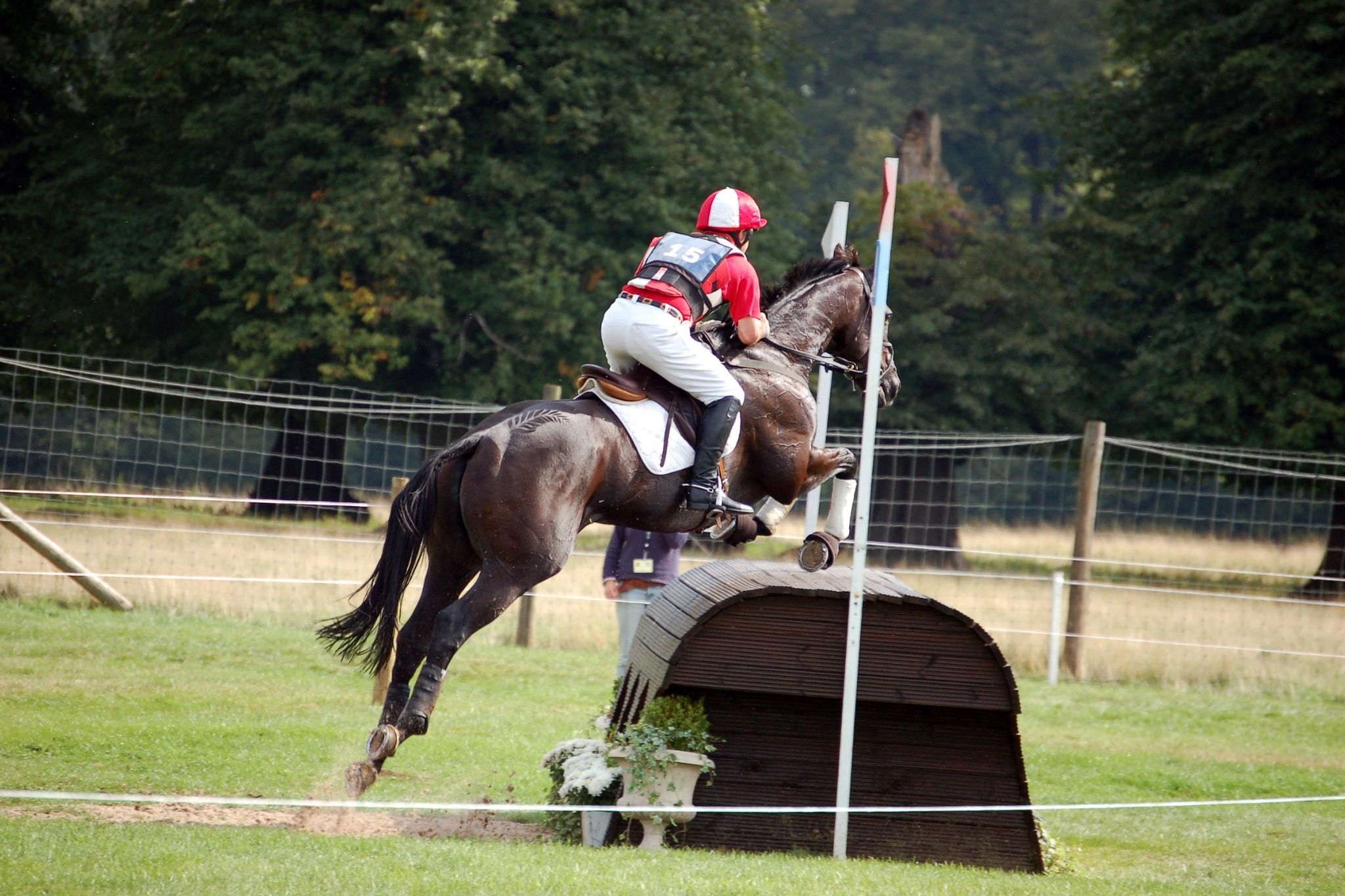 3-Day Eventing: Learn the Lingo - Horse Rookie