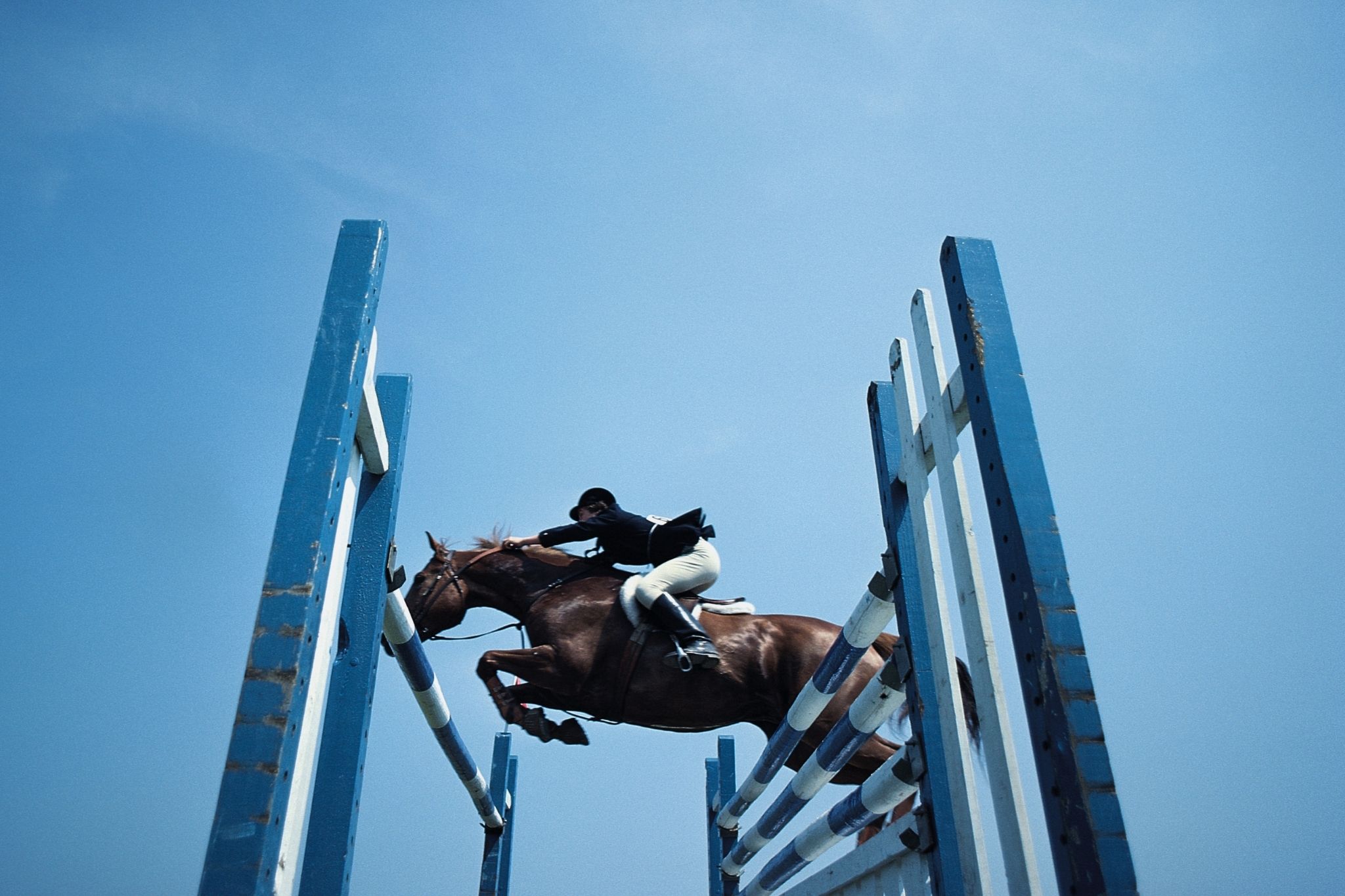 3-Day Eventing: Learn the Lingo - Horse Rookie