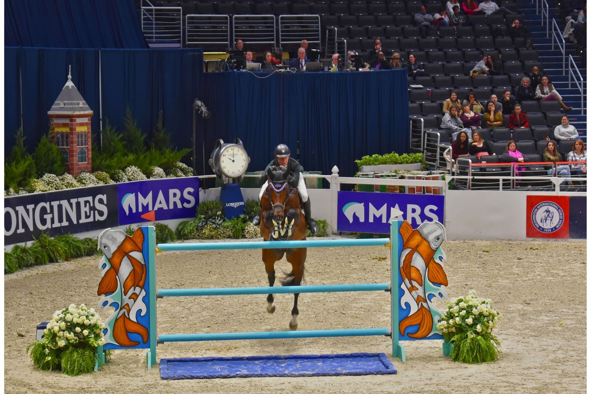 3-Day Eventing: Learn the Lingo - Horse Rookie