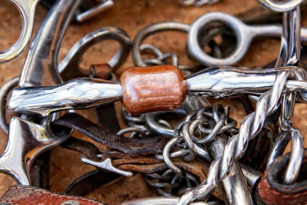 6 Best Bits with Rollers to Help Busy-Brain Horses Relax