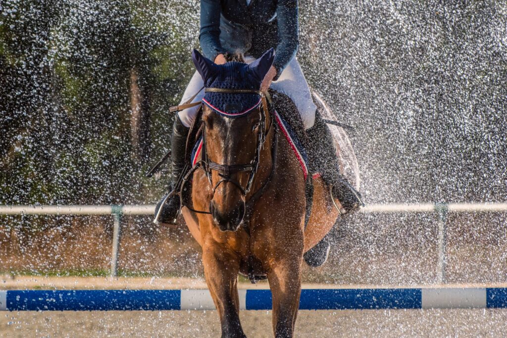 5 Waterproof Horse Riding Pants for Rainy Hacks - Horse Rookie