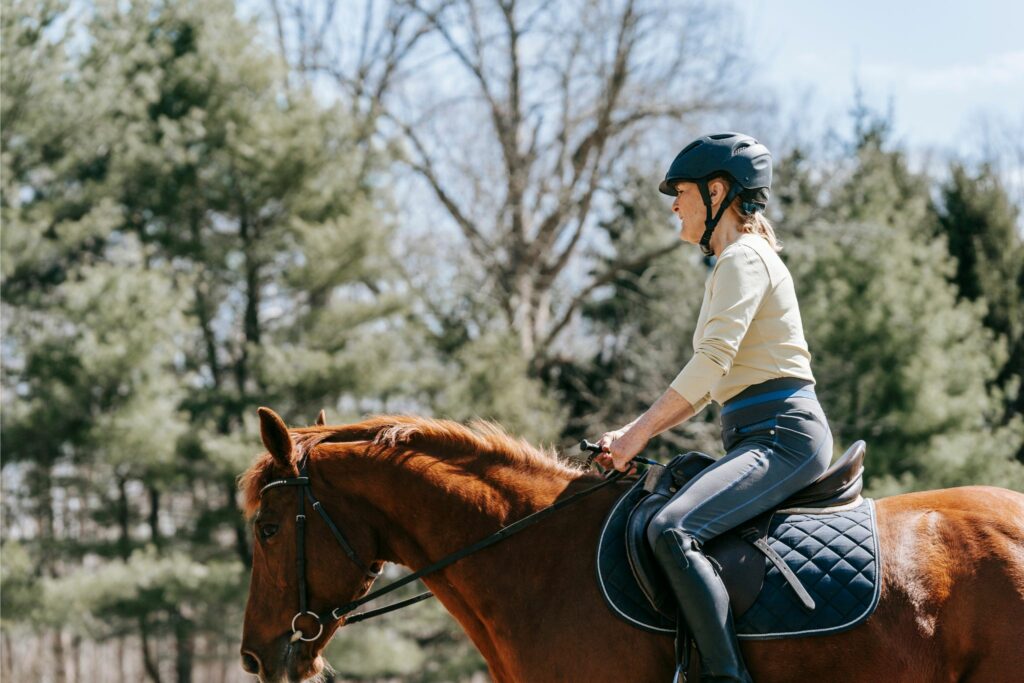 Win the Cool Down: Hot Weather Horse Riding Essentials - Horse Rookie