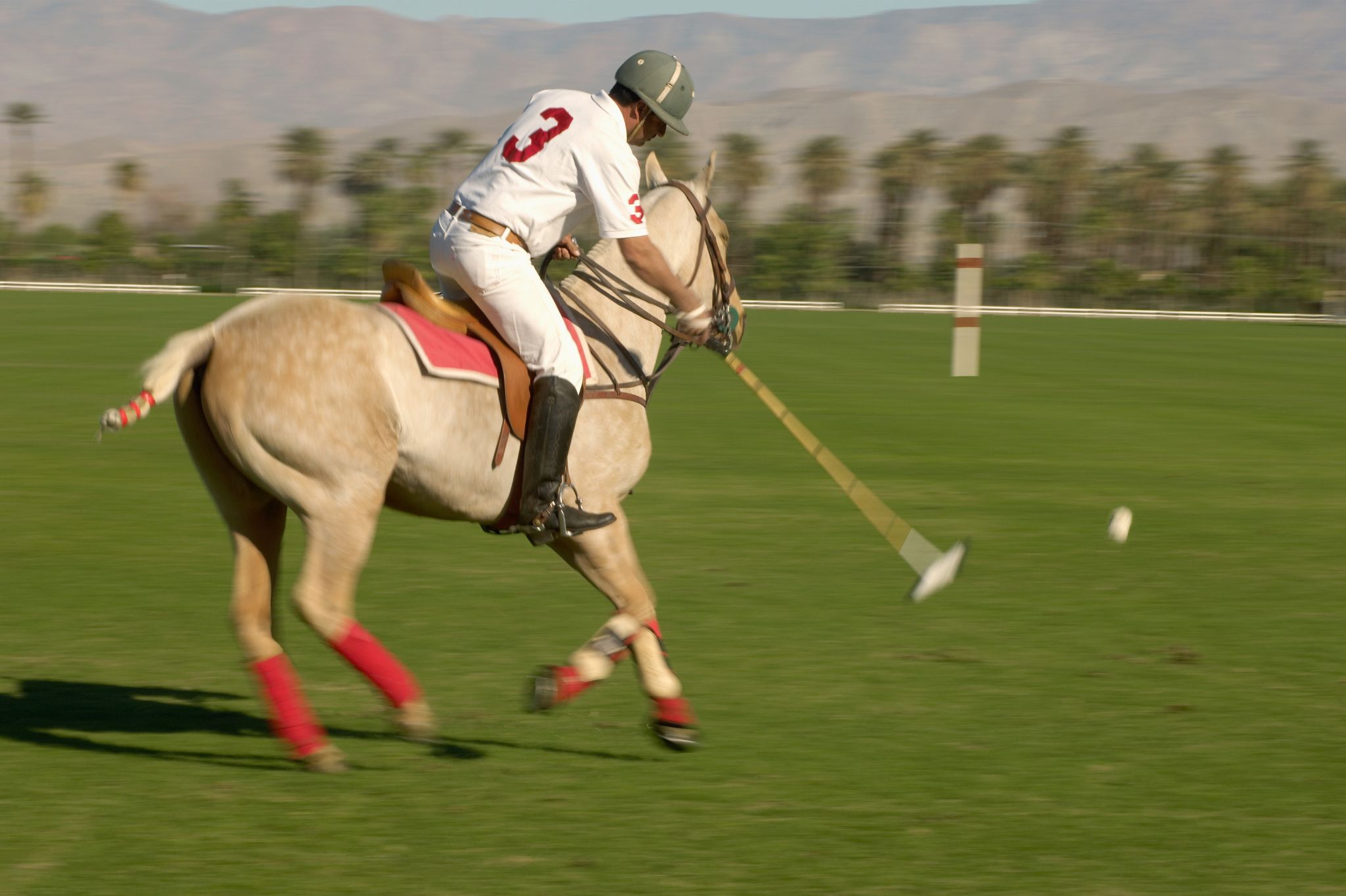 Horse Polo Terminology: Talk the Talk of this Fast-Paced Sport - Horse Rookie