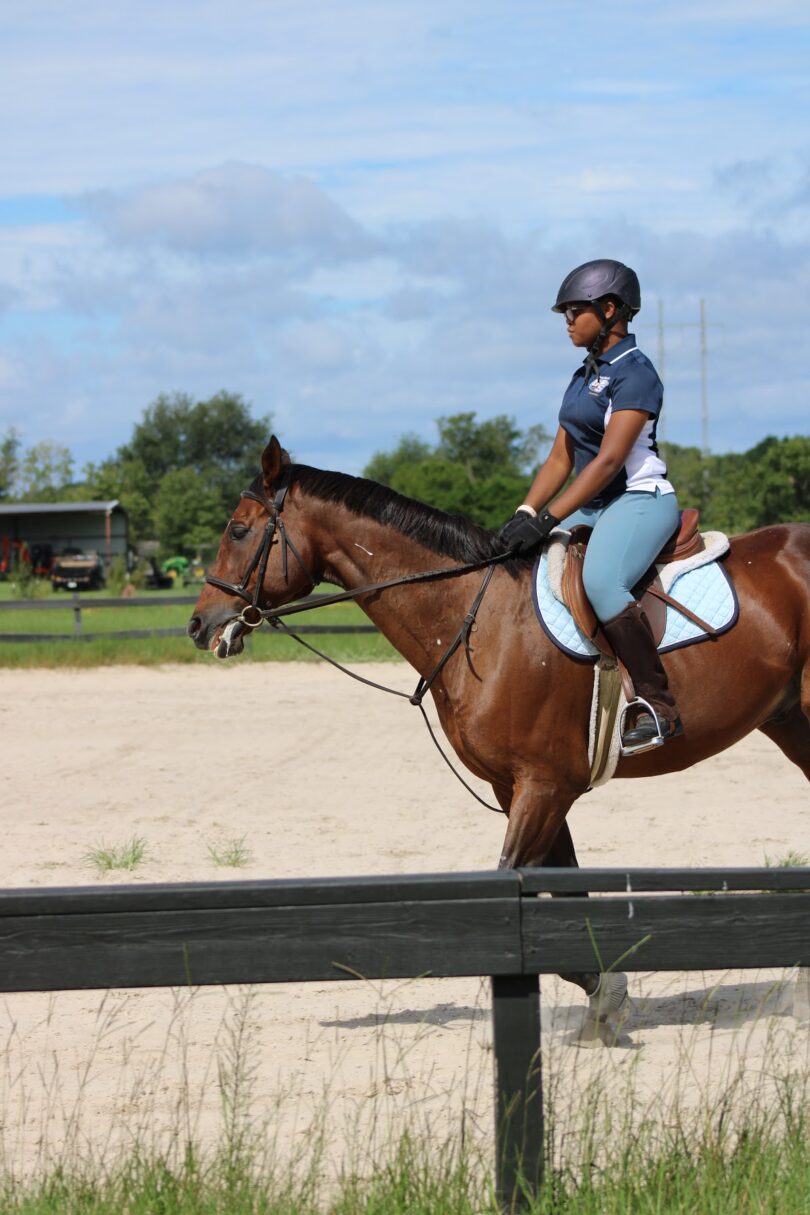6 Best Riding Helmet Brands for Safety-Savvy Equestrians - Horse Rookie