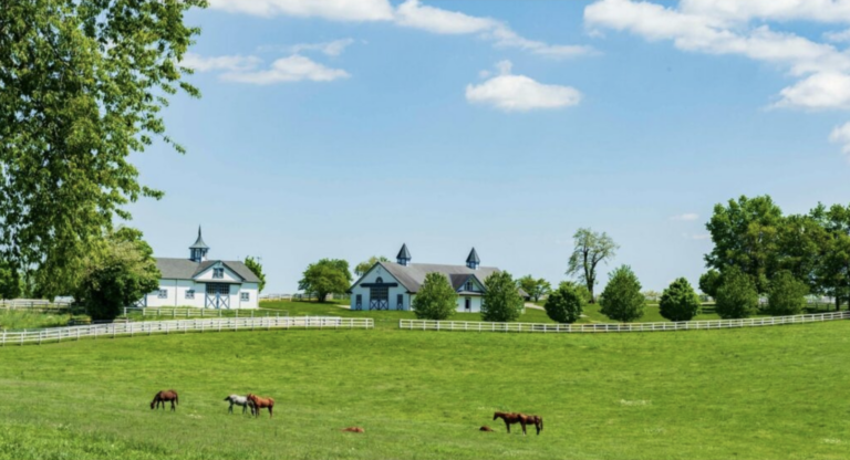 Welcome to Paradise: 5 Best Places to Retire with Horses - Horse Rookie