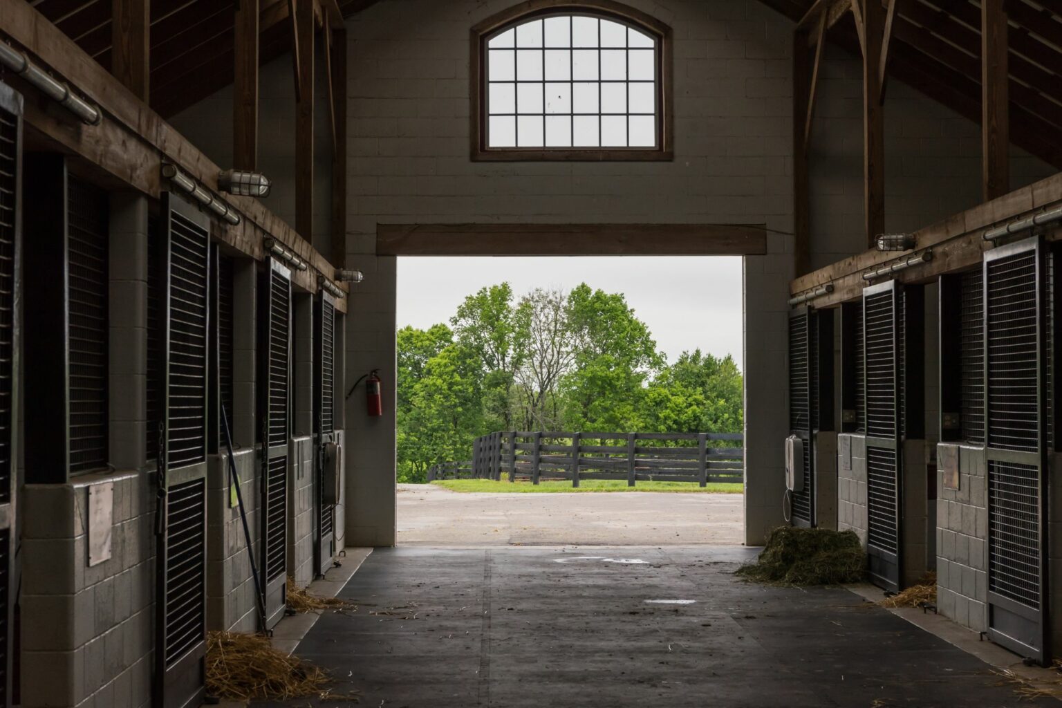 Best No-Worries Barn Flooring for Aisles, Tack Rooms, etc. - Horse Rookie