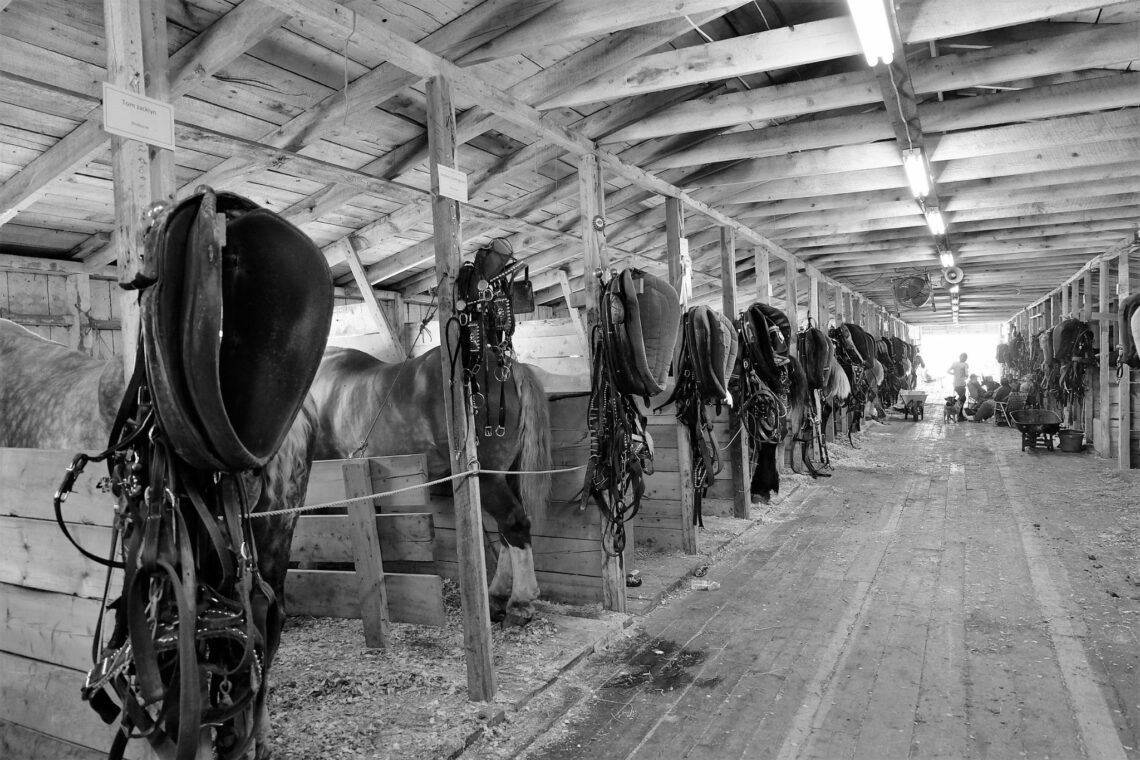 Best No-Worries Barn Flooring for Aisles, Tack Rooms, etc. - Horse Rookie