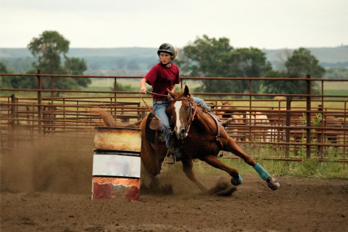 5 Best Horse Breeds for Barrel Racing in the Money - Horse Rookie