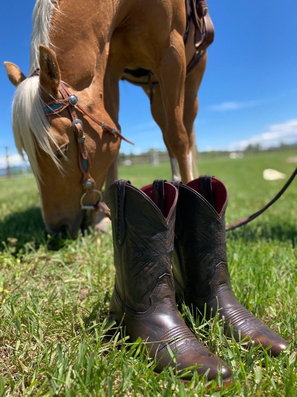 Lone Star Exemplar: Chisos Handmade Cowboy Boot Review - Horse Rookie