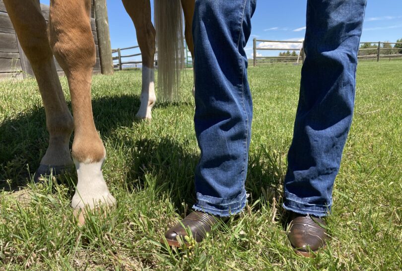 Lone Star Exemplar: Chisos Handmade Cowboy Boot Review - Horse Rookie