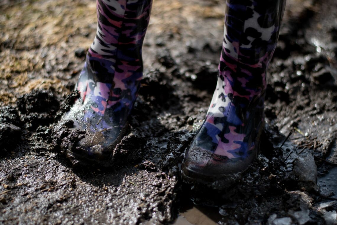 4 Tried & True Methods to Beat Muddy Horse Paddocks - Horse Rookie