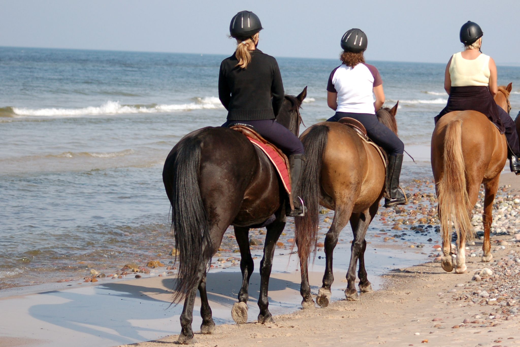 Win the Cool Down: Hot Weather Horse Riding Essentials - Horse Rookie