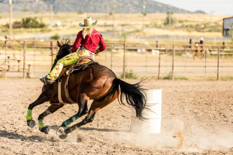 5 Best Horse Breeds for Barrel Racing in the Money - Horse Rookie