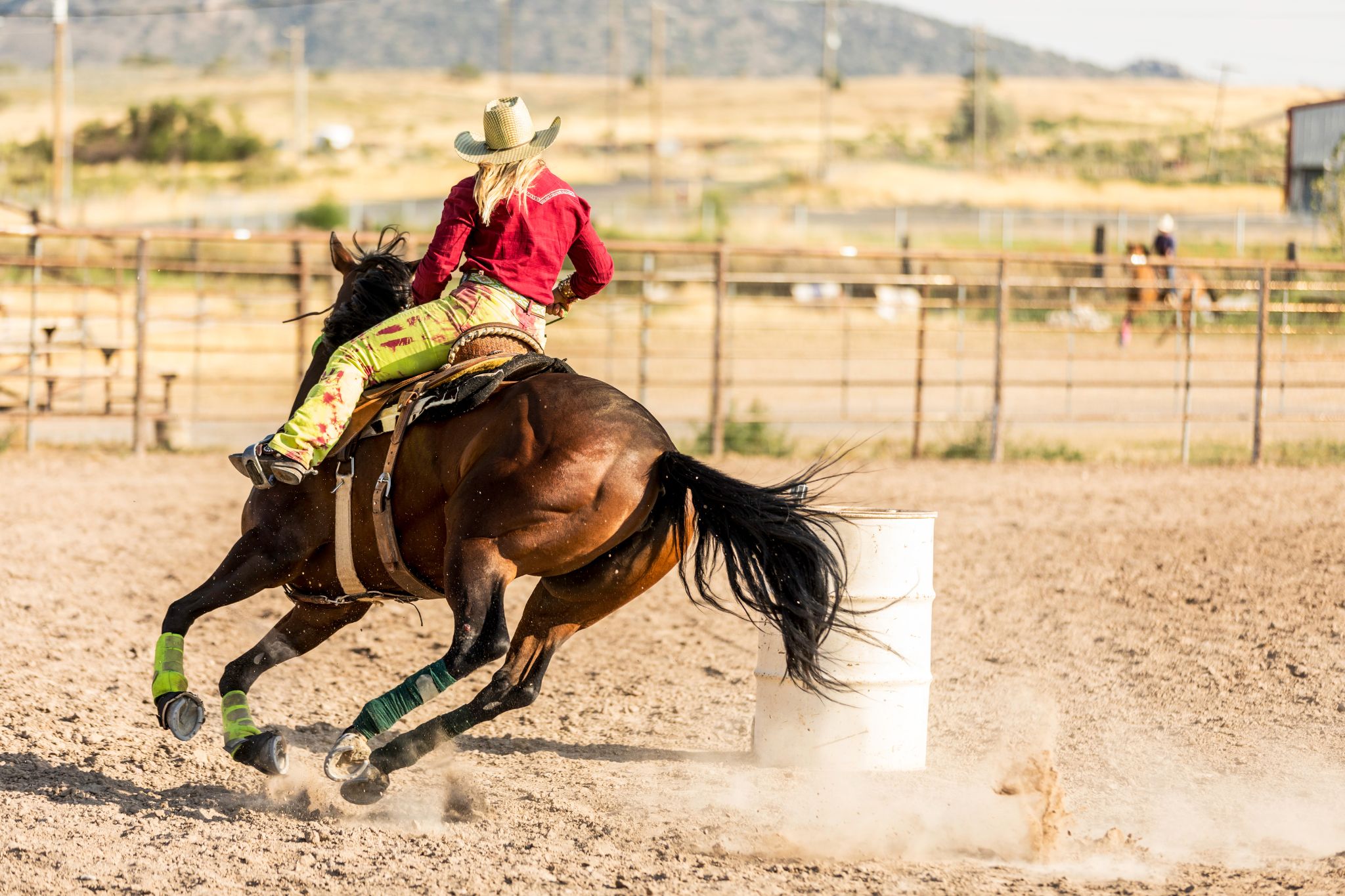 5 Best Horse Breeds for Barrel Racing in the Money - Horse Rookie