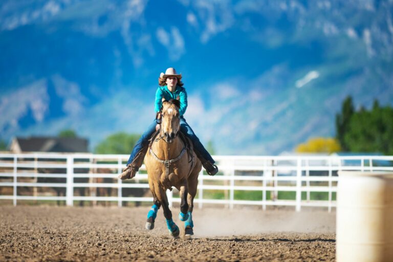 5 Best Horse Breeds for Barrel Racing in the Money - Horse Rookie