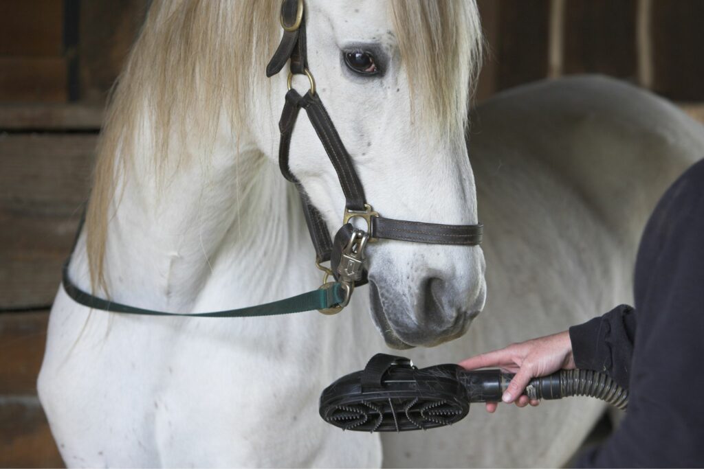 5 Horse Vacuums That Really Suck (In a Good Way!) - Horse Rookie