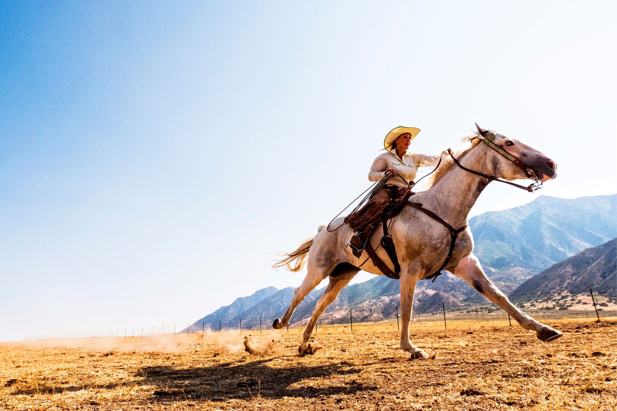7 Simple Tips For Taking Better Photos of Horses in Action - Horse Rookie