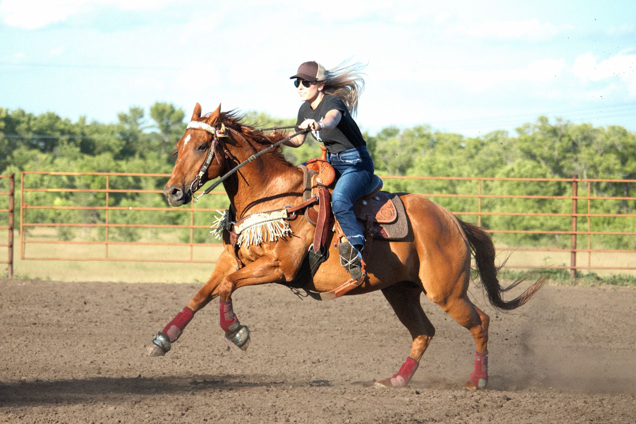 7 Simple Tips For Taking Better Photos of Horses in Action - Horse Rookie