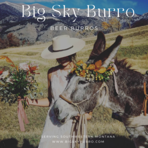 8 Stellar Beverage Burro Companies (Weddings & More) - Horse Rookie