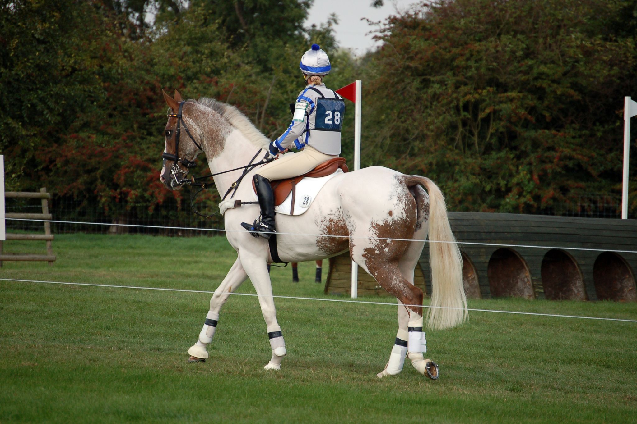 4 Best Eventing Watches for Cross-Country Countdowns - Horse Rookie