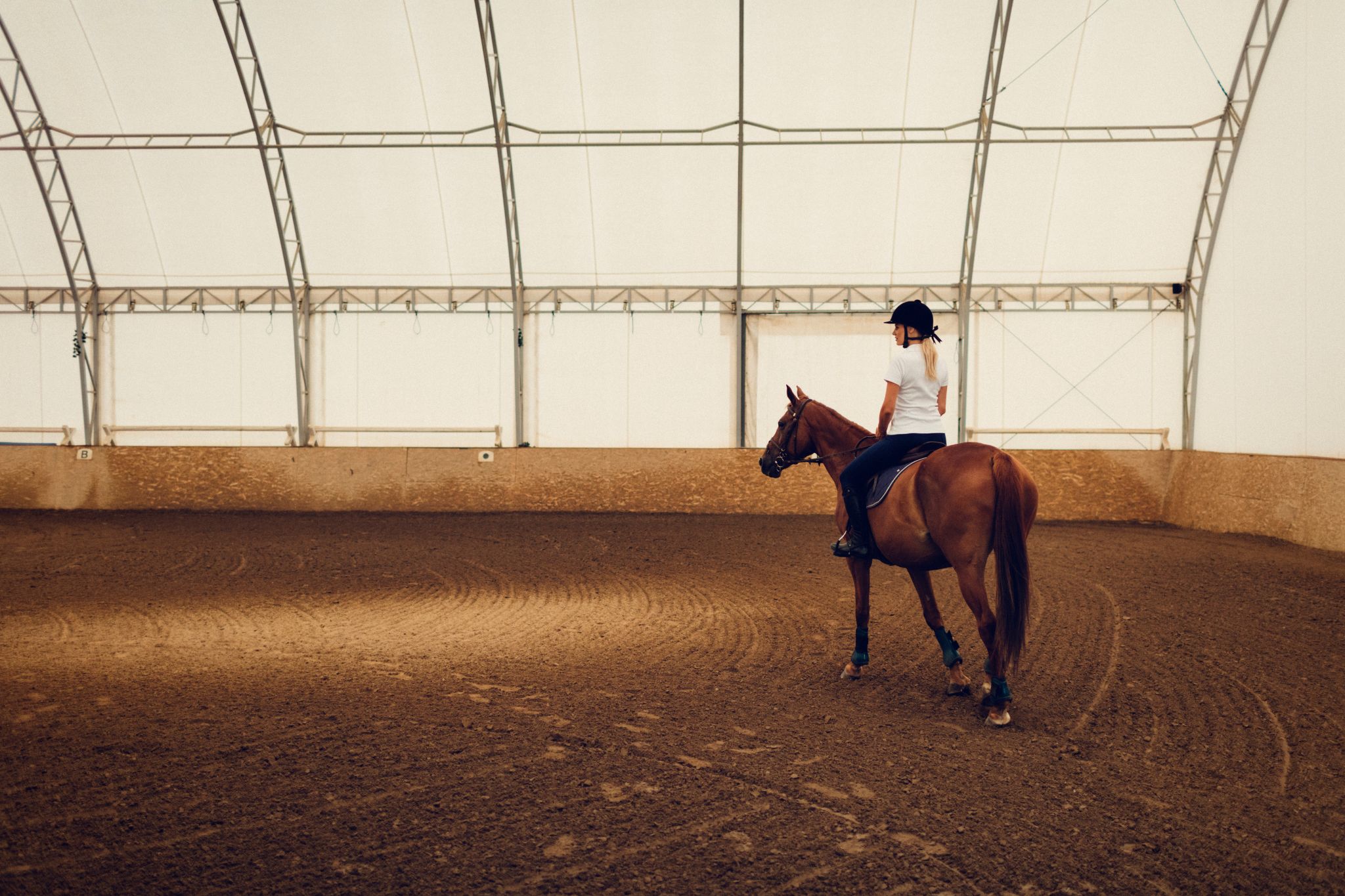 9 Pieces of High Tech Horse Gear Anyone Can Master - Horse Rookie