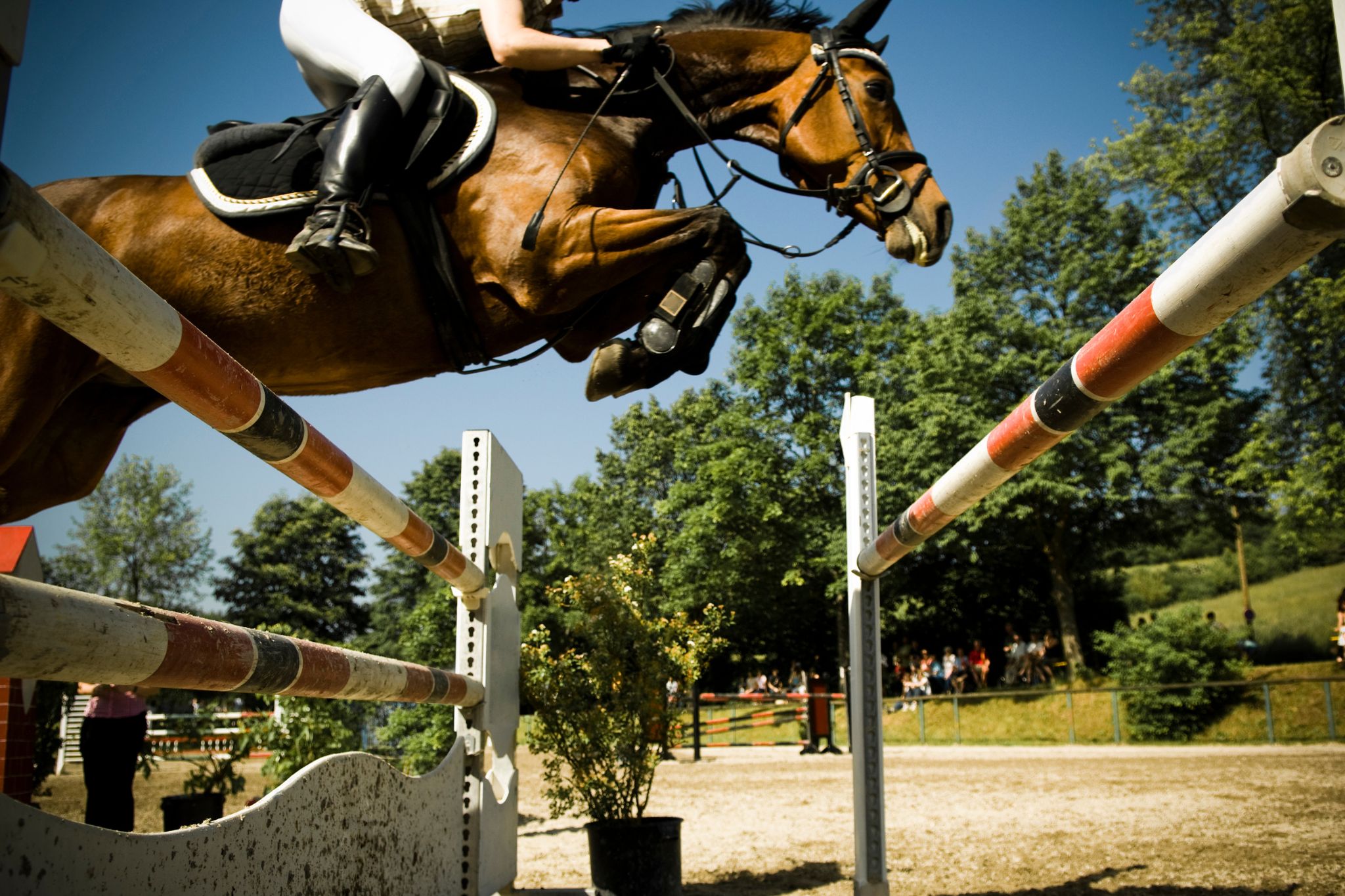 11 High-Tech Equine Wearables to Revolutionize Your Ride - Horse Rookie