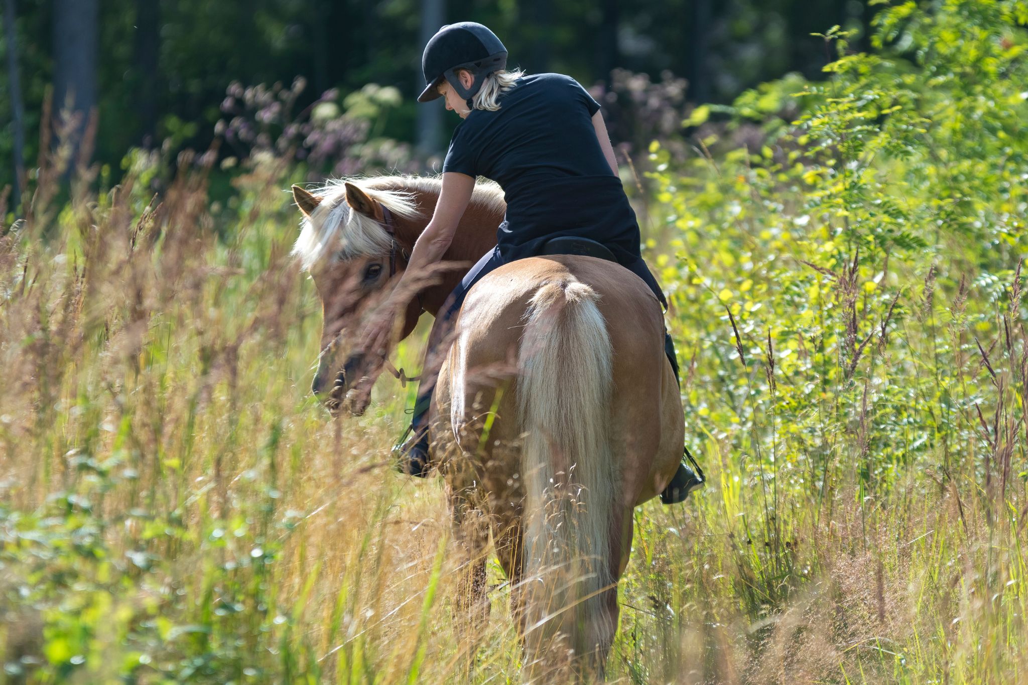 9 Pieces of High Tech Horse Gear Anyone Can Master - Horse Rookie