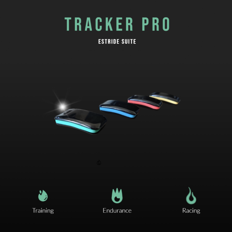 11 High-Tech Equine Wearables to Revolutionize Your Ride - Horse Rookie