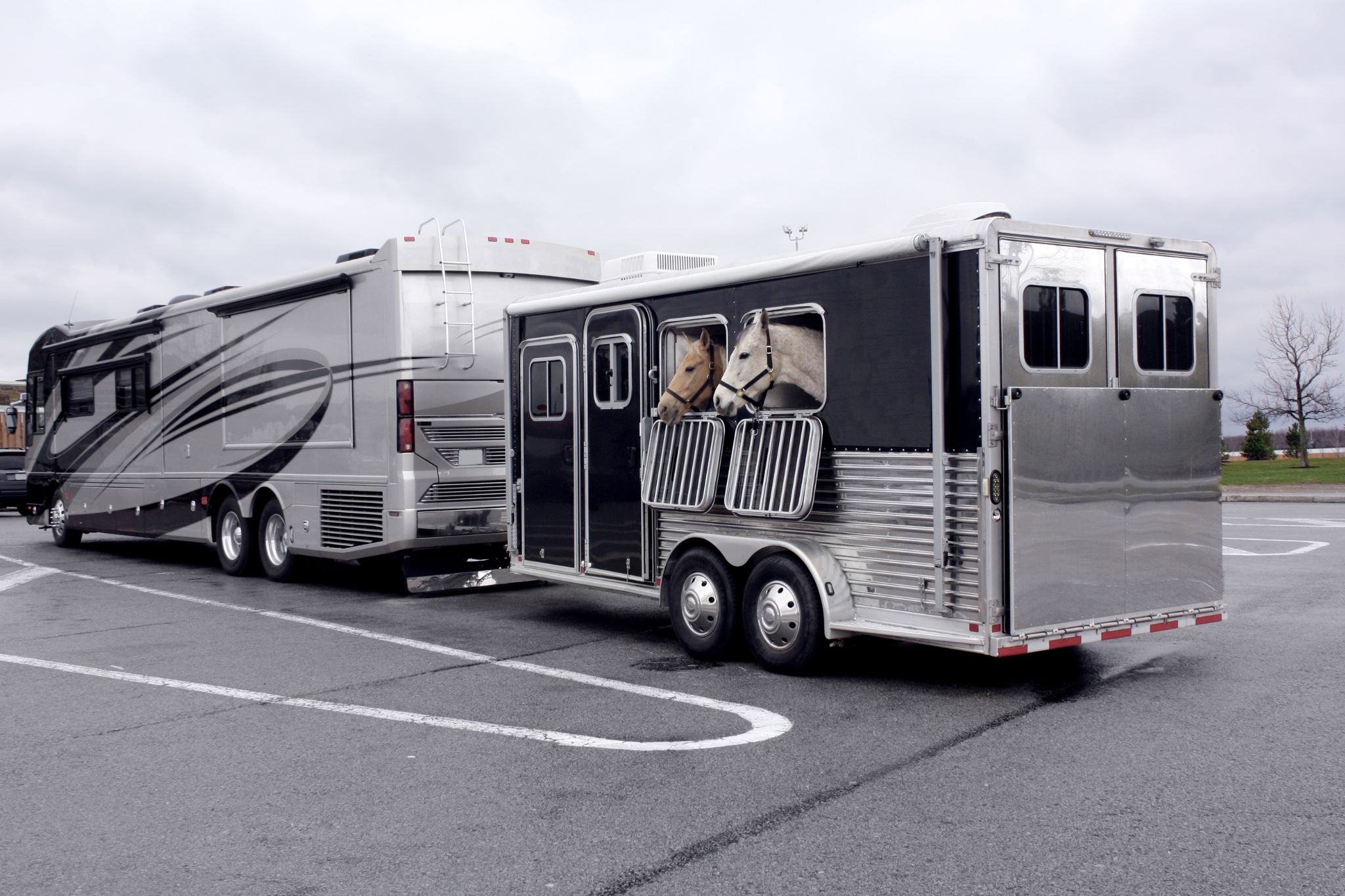 9 Best Horse Trailer Brands That Really Pull Their Weight Horse Rookie 9 Best Horse Trailer Brands That Really Pull Their Weight Horse Rookie