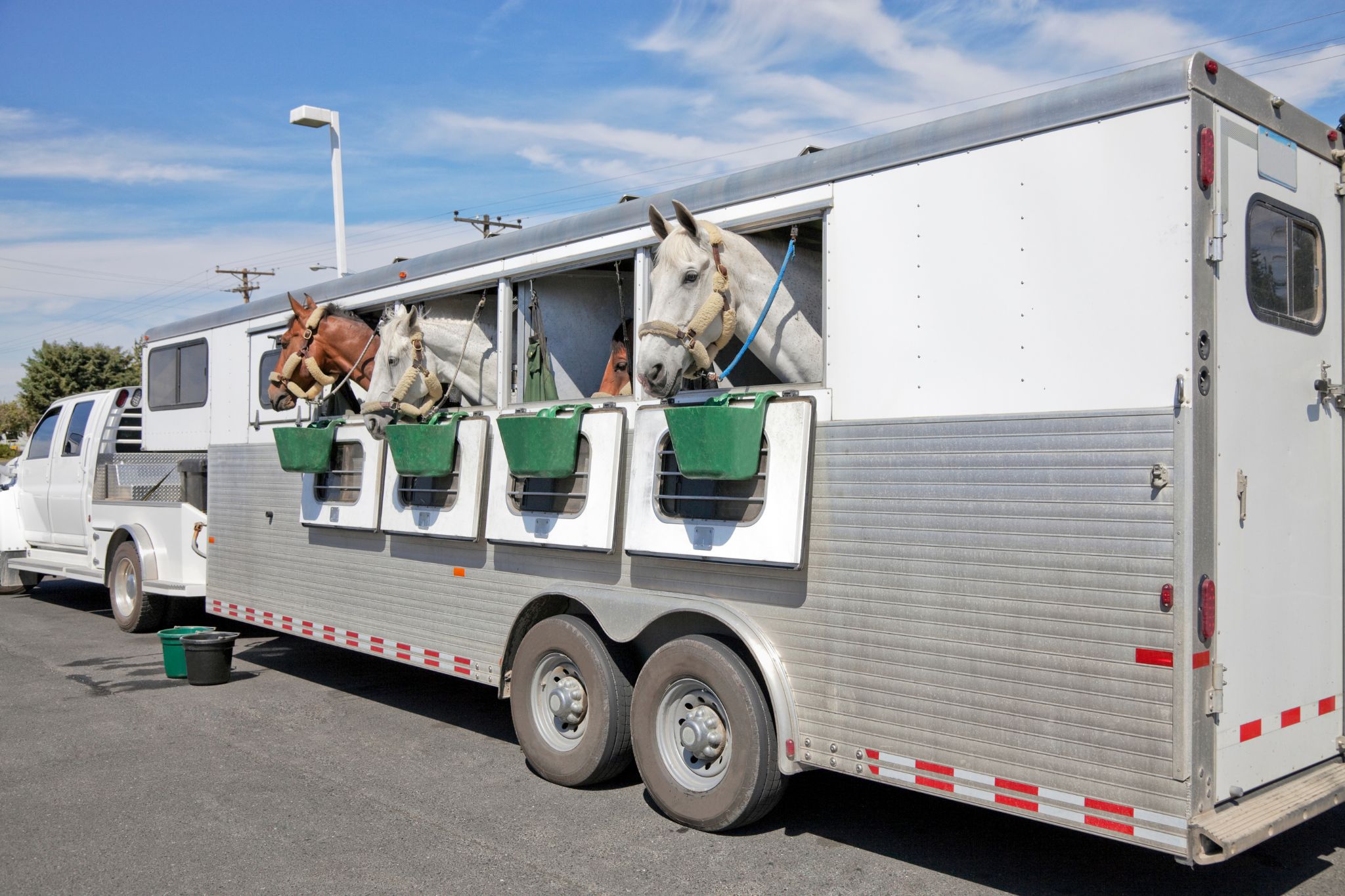 5 Best Horse Trailers with Living Quarters Fit for a Queen - Horse Rookie