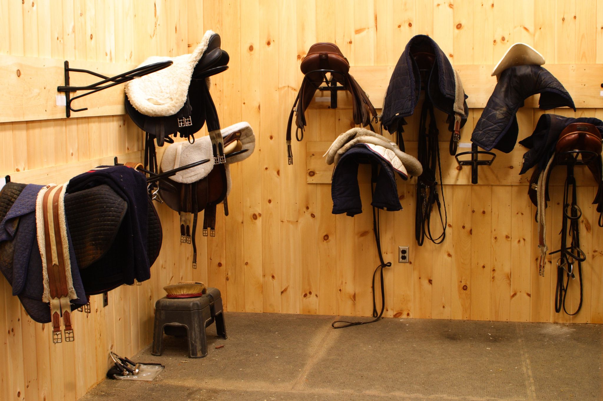 Stable Sense: Horse Barn Terminology for Rookies - Horse Rookie