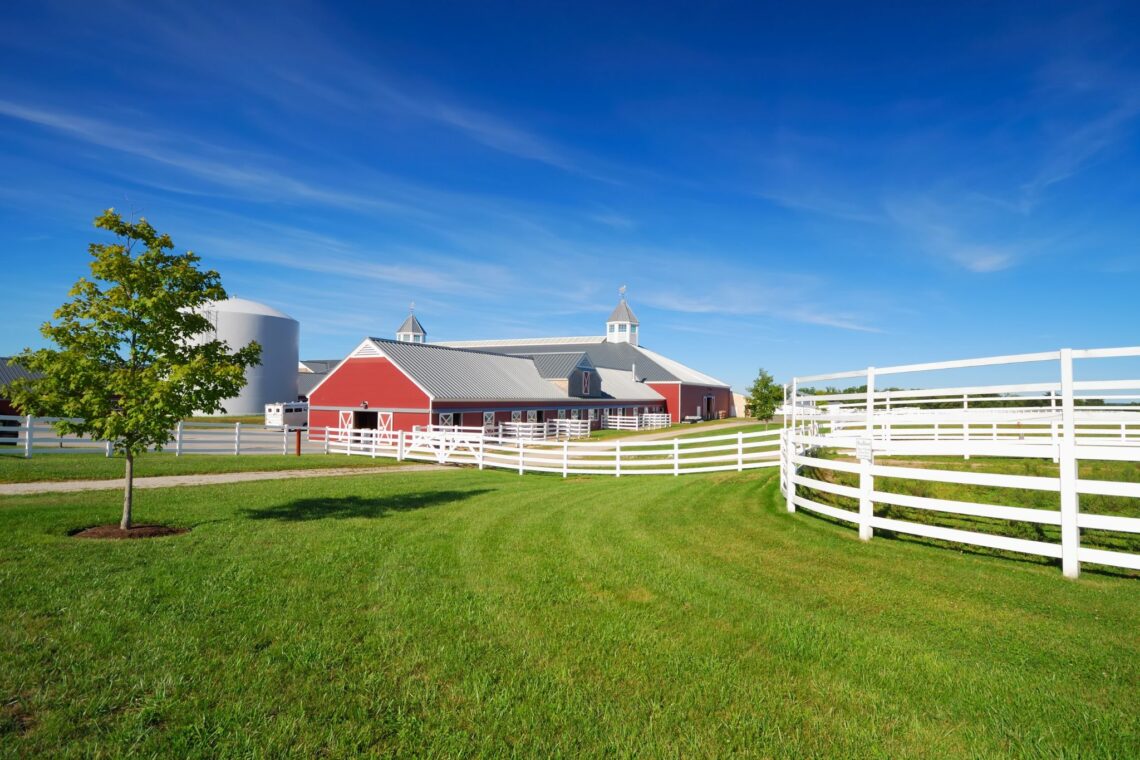 Less is More: How to Keep Horses on Small Acreage - Horse Rookie