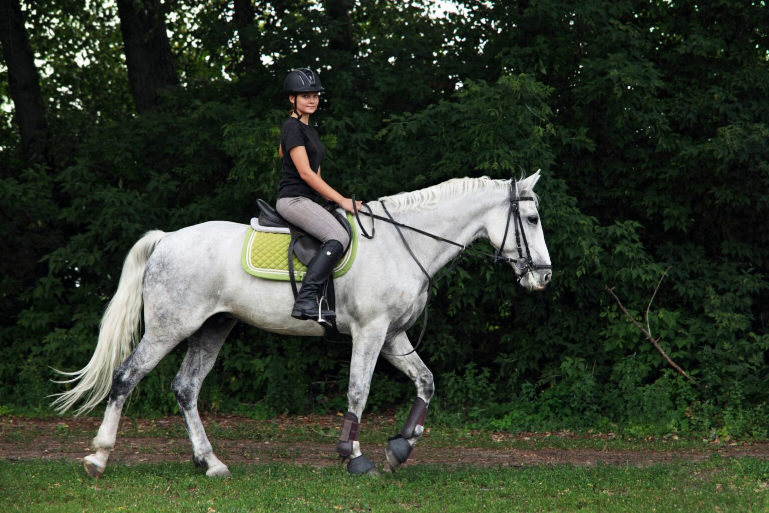GPS for Rookies: Tracking Miles on Horseback