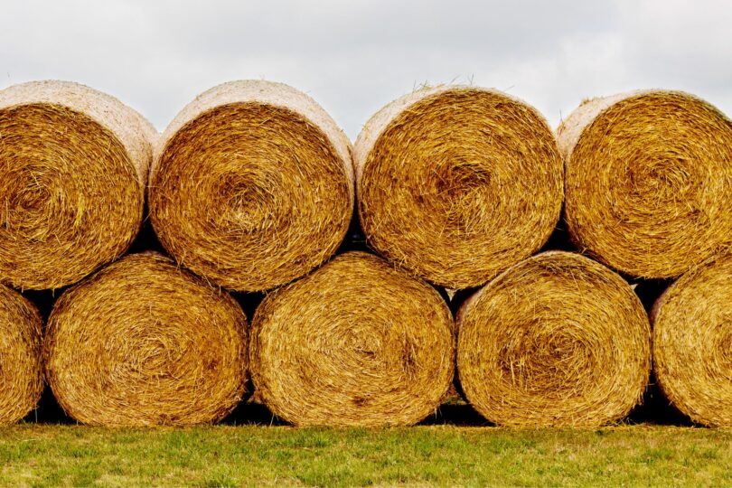 Hay Bale Facts and Figures (Sizes, Types, Costs) - Horse Rookie