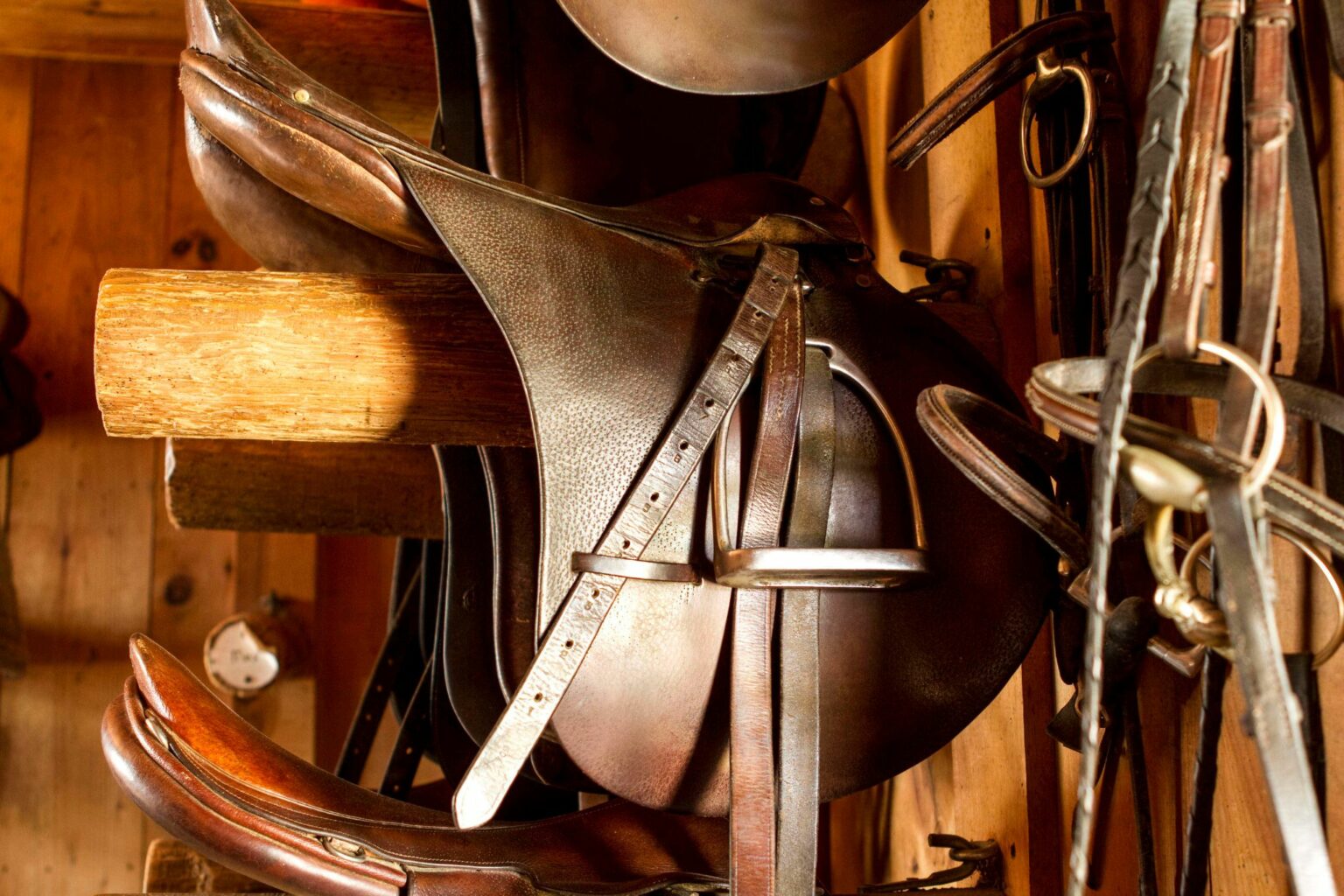 5 Best Saddle Racks for Keeping Tack in Tip-Top Shape - Horse Rookie