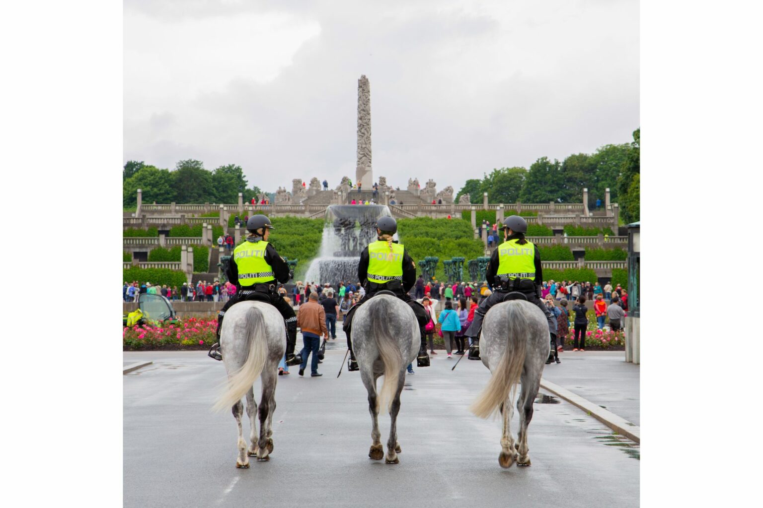 Behind the Shield: The Police Horse Past & Present - Horse Rookie