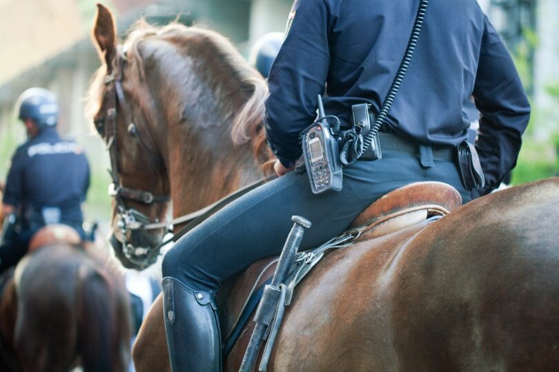 Behind the Shield: The Police Horse Past & Present - Horse Rookie