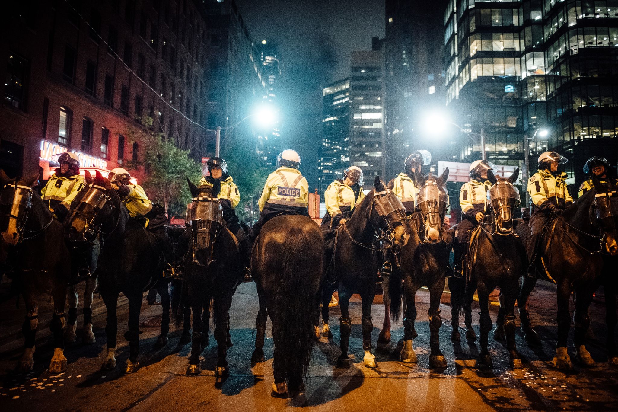 Behind the Shield: The Police Horse Past & Present - Horse Rookie