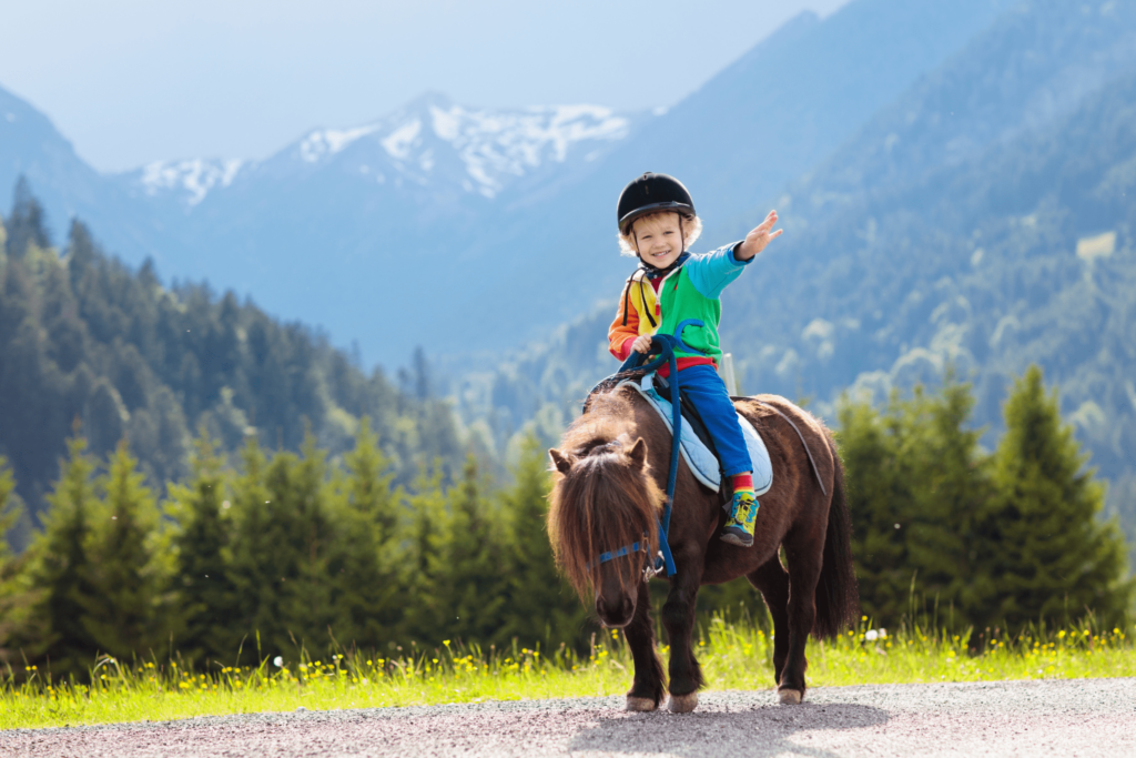 The Peculiar, Precious, and Petite World of Ponies - Horse Rookie