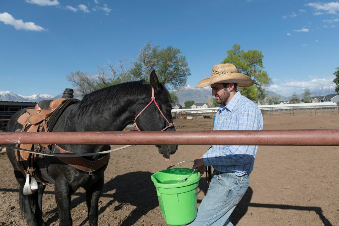 3 Best Water Buckets for Horses (Stall, Heated, Travel) - Horse Rookie
