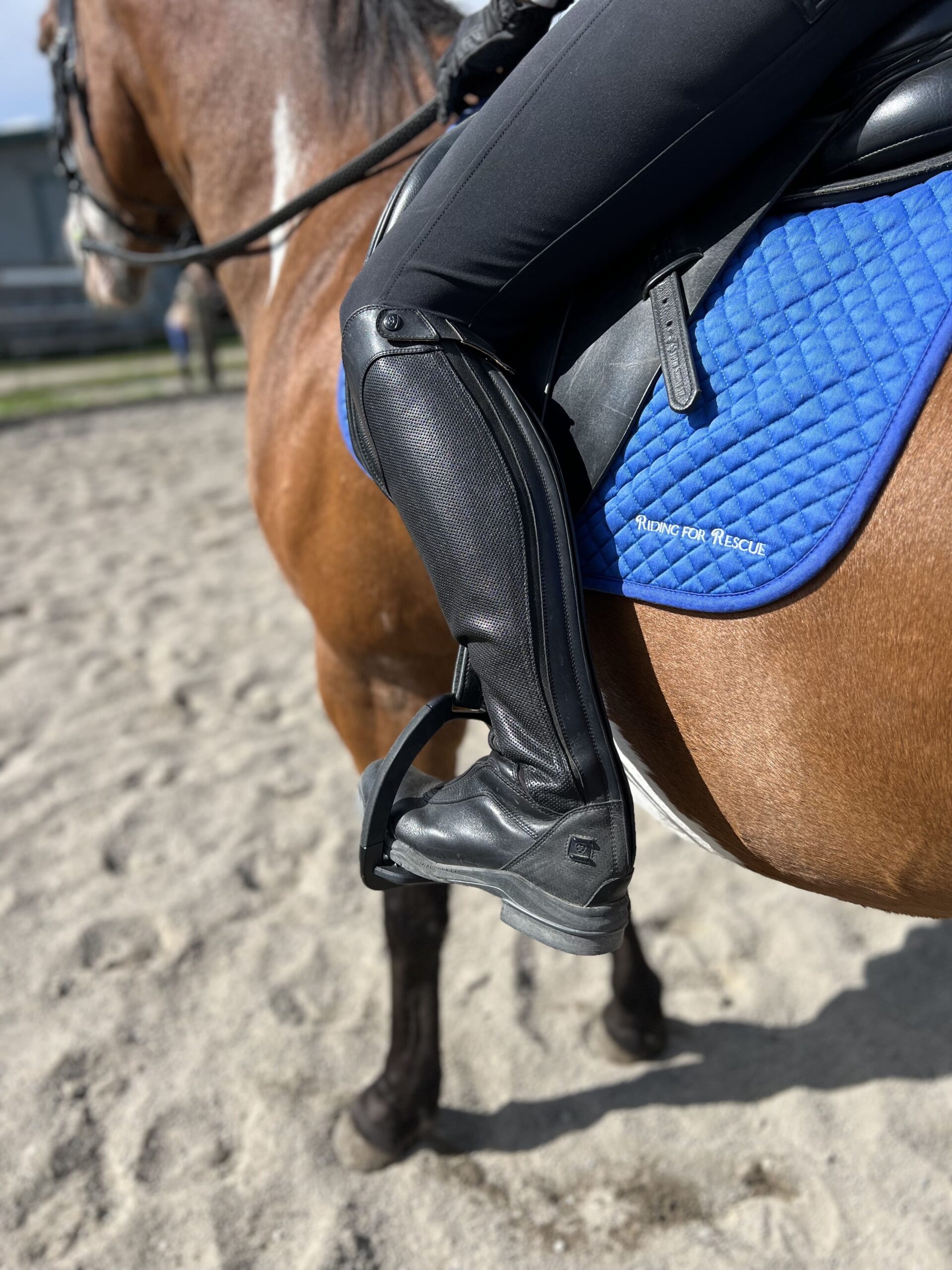 Safety Is NOT Optional (Safety Stirrups Ophena A Review) - Horse Rookie