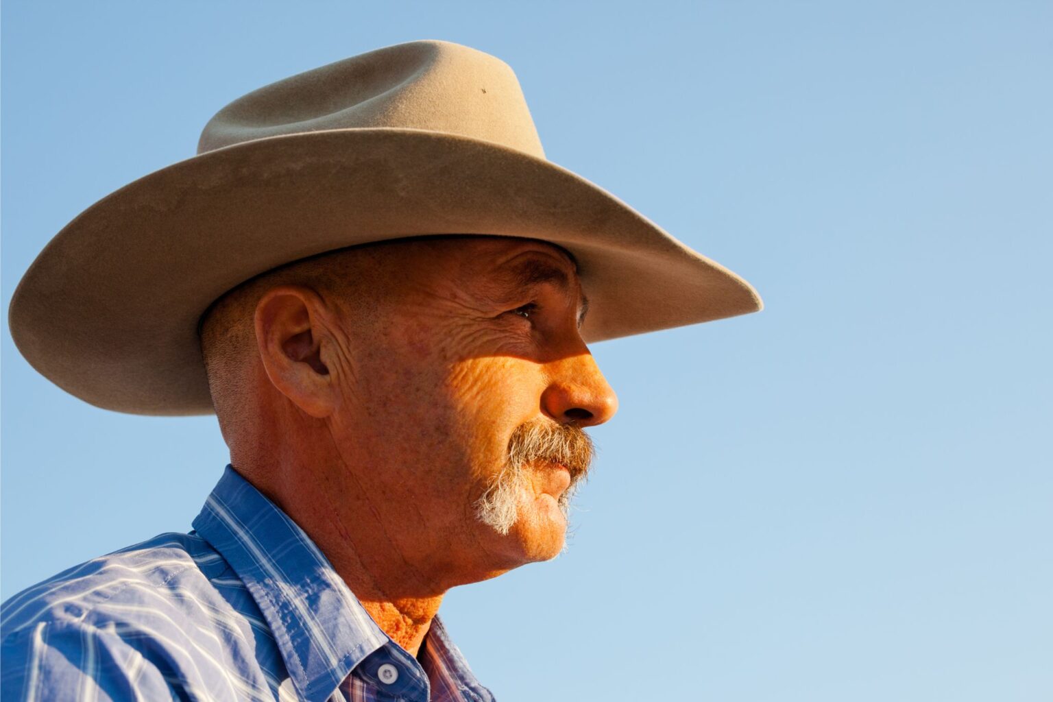 Wear History, Make History: The Iconic Cowboy Hat - Horse Rookie