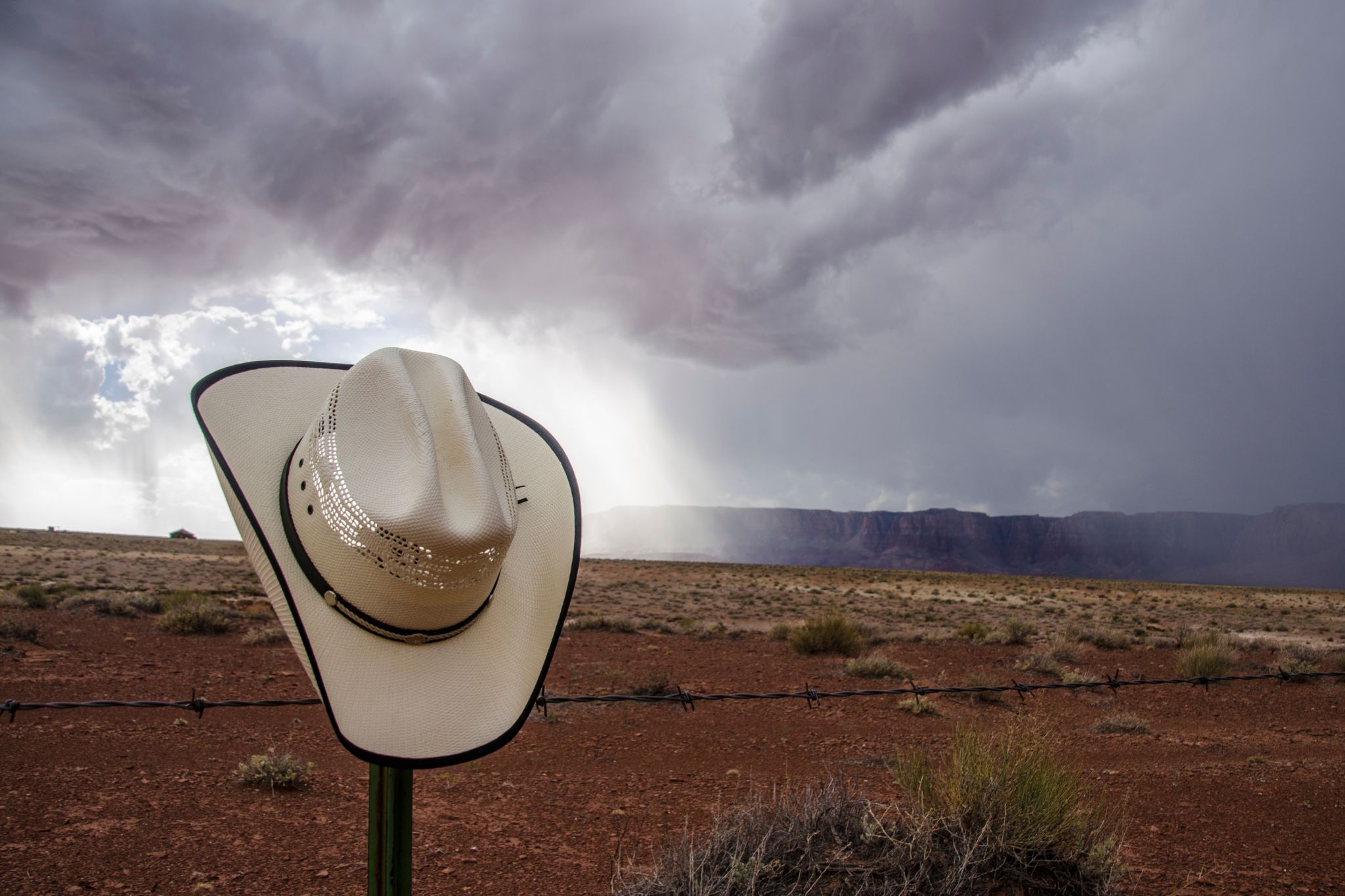 13 Best Women's Cowboy Hats for All Occasions - Horse Rookie