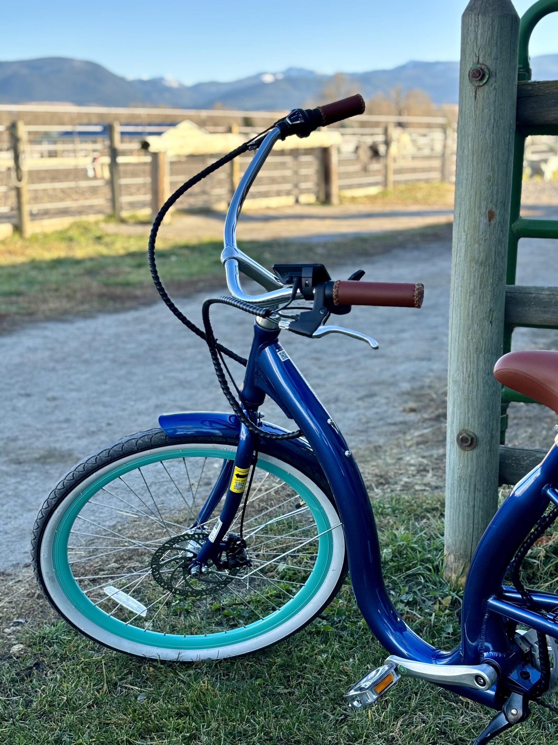 E-Bikes You'll Love Riding *Almost* as Much as Your Horse - Horse Rookie