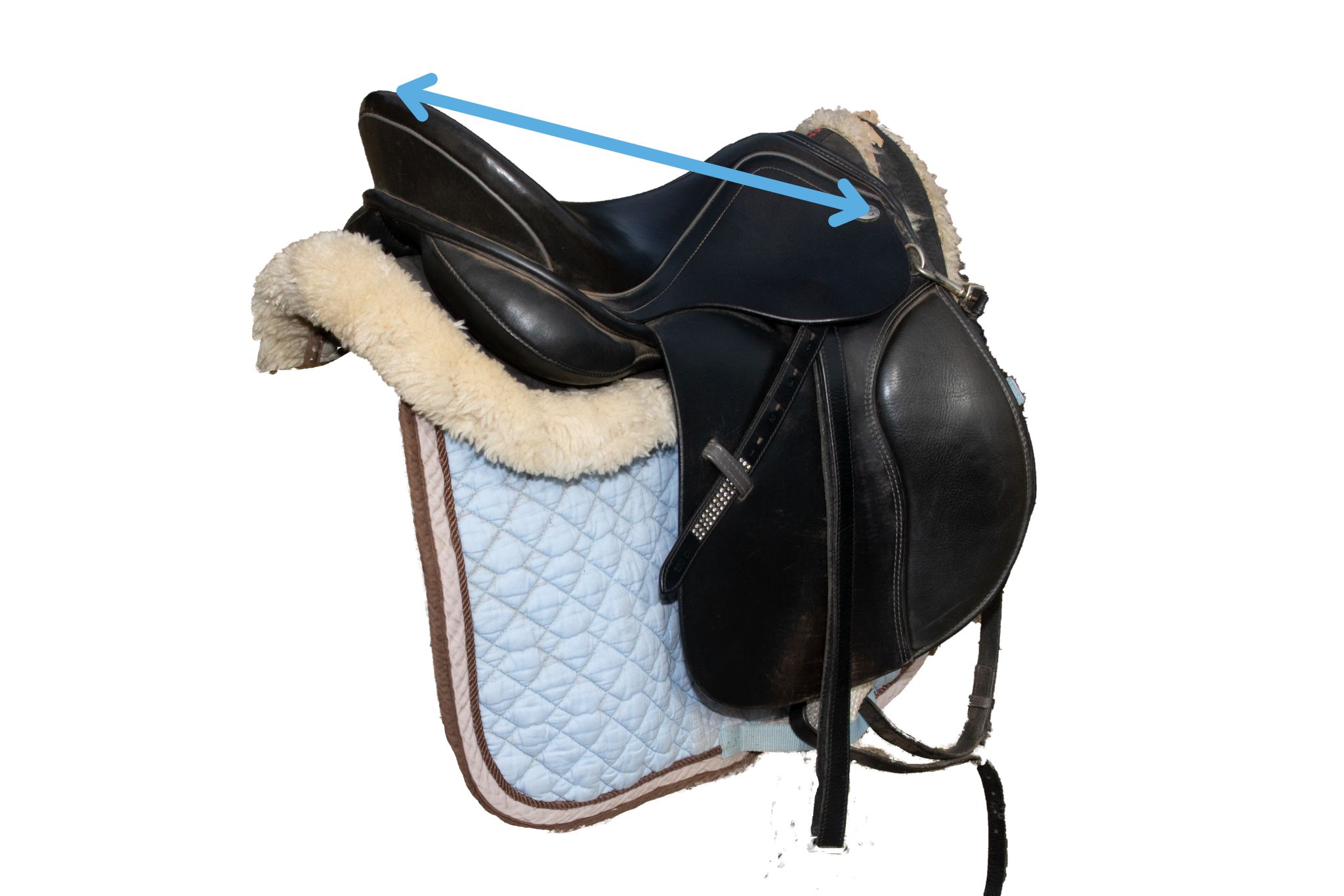 Simplifying Saddle Fit for English + Western Riders - Horse Rookie