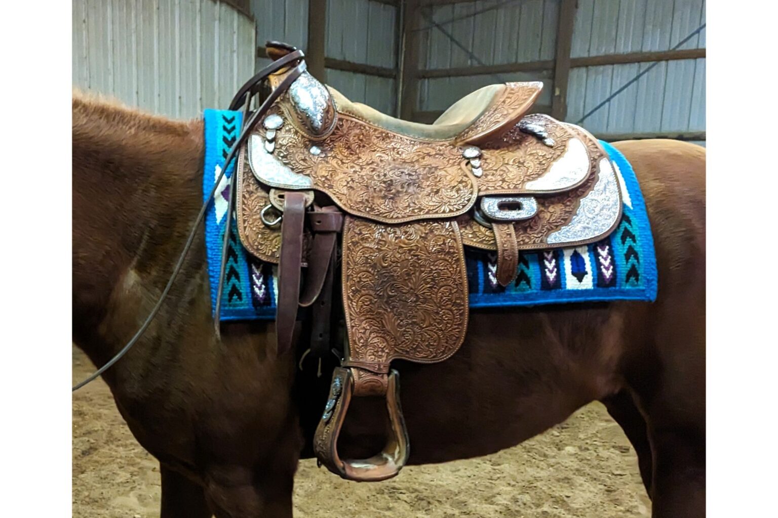 17 Different Types of Saddles (When to Use Which One) - Horse Rookie