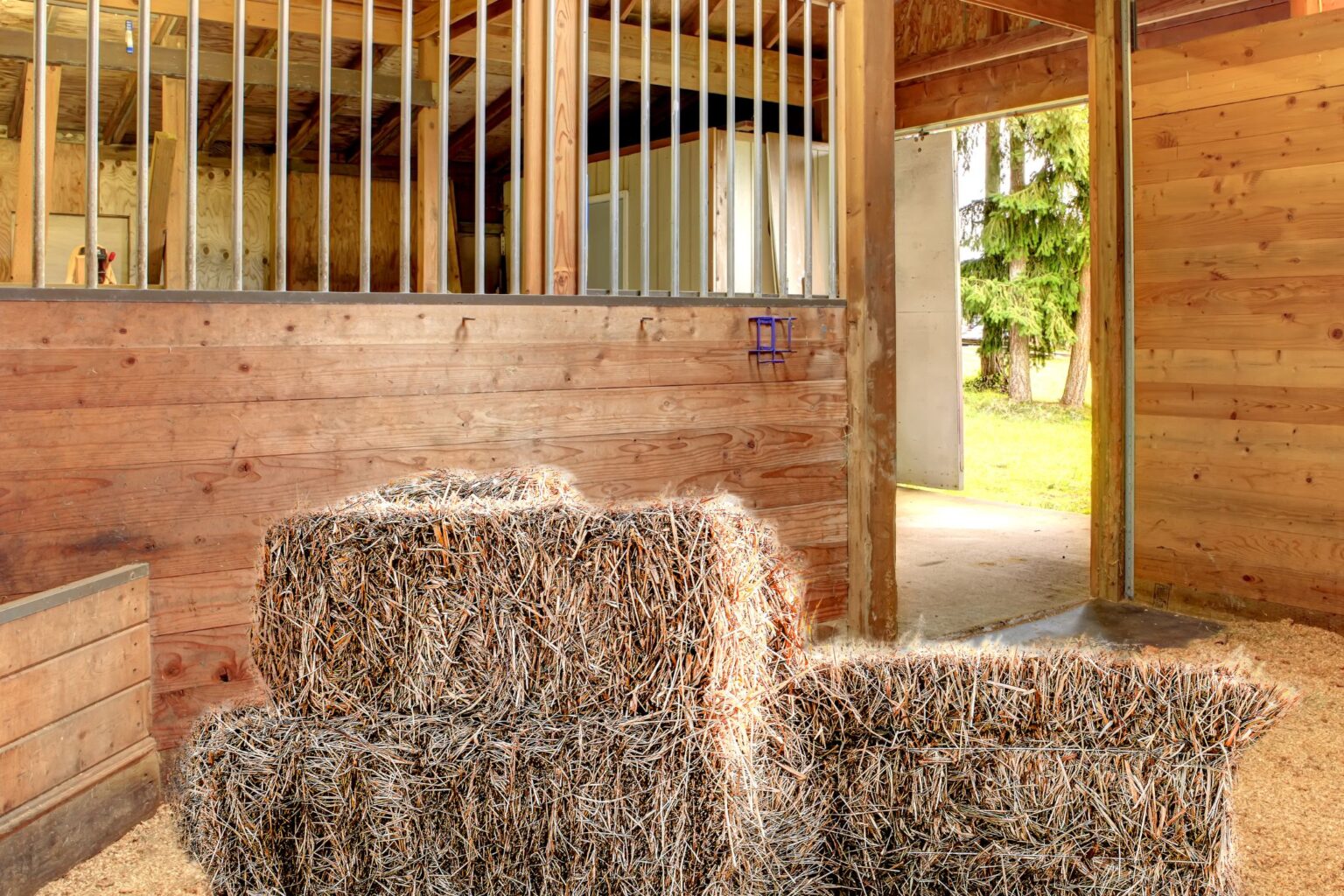 Putting the Horse Straw vs. Shavings Debate to Bed - Horse Rookie