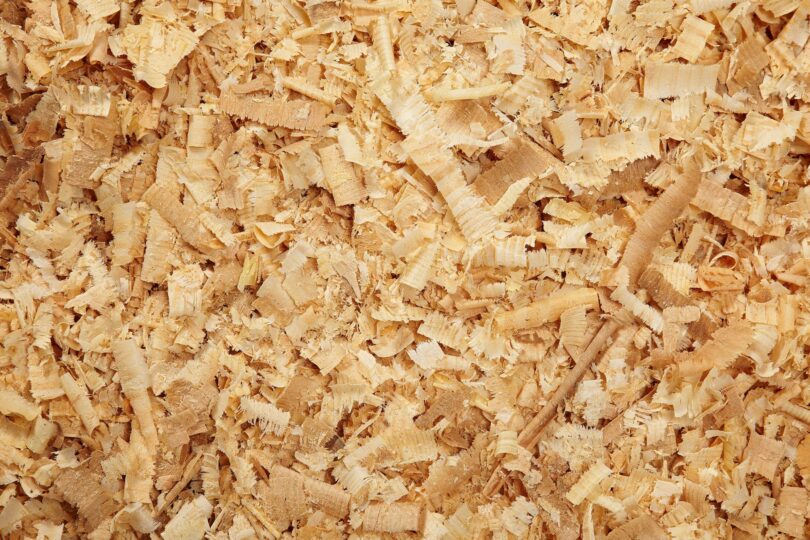 Putting the Horse Straw vs. Shavings Debate to Bed - Horse Rookie